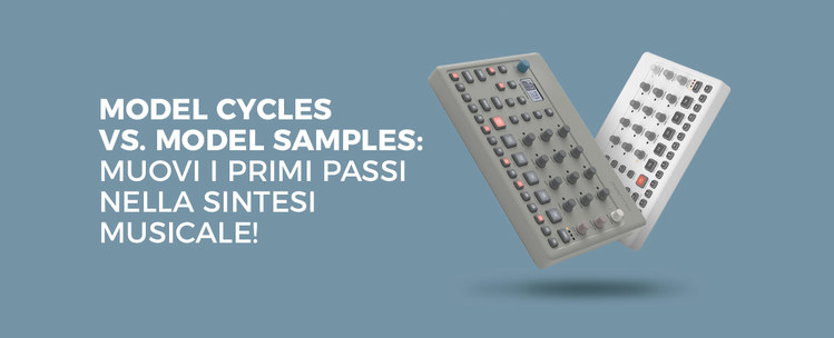 Model Cycles vs. Model Samples: Muovi i Primi Passi nella Sintesi ...