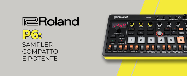 Roland P-6: Funzionalità Avanzate in un Formato Compatto - News ...
