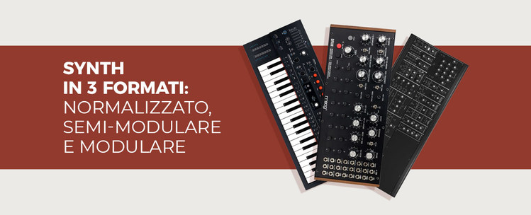 Synth in 3 formati: Normalizzato, Semi-Modulare e Modulare - News ...